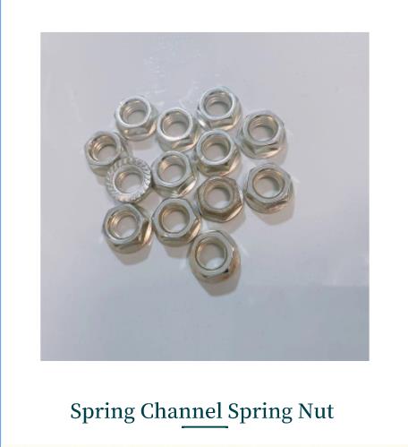 Standard Stainless Steel 304 Strut Channel Spring Nut Galvanized ...